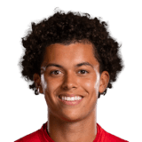 Johnson 75 RW | Non Rare Gold | FIFA 23 | FifaRosters